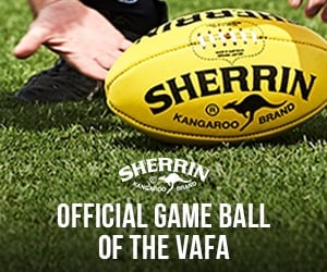 2023 Premier C Men's Team of the Year - VAFA