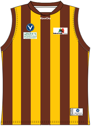 Hawthorn jumper largeg - VAFA