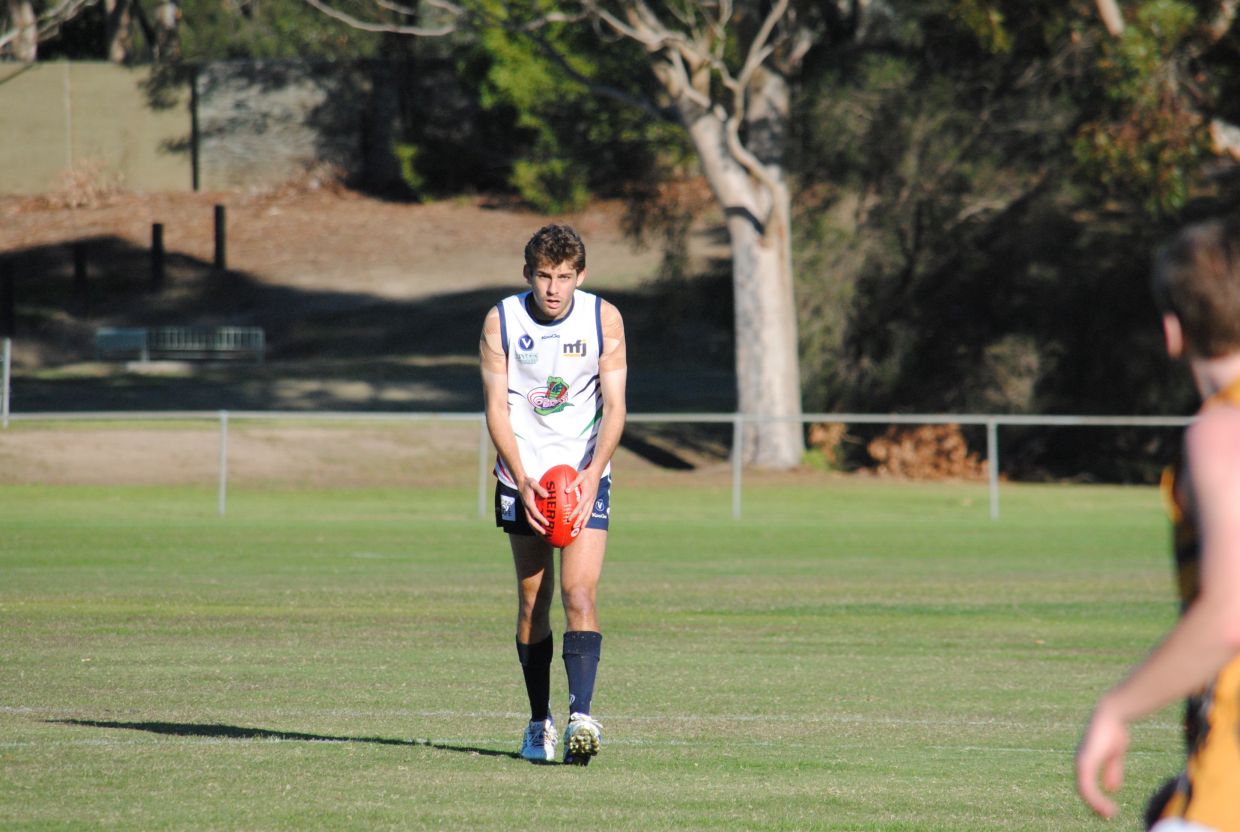 Drubbings and droolings - VAFA