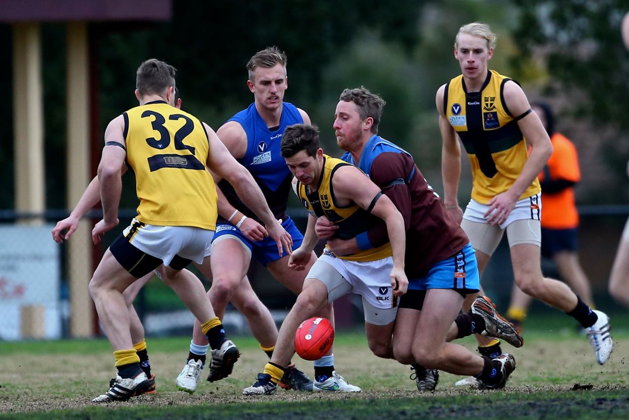 Division 1: Team of the Year - VAFA