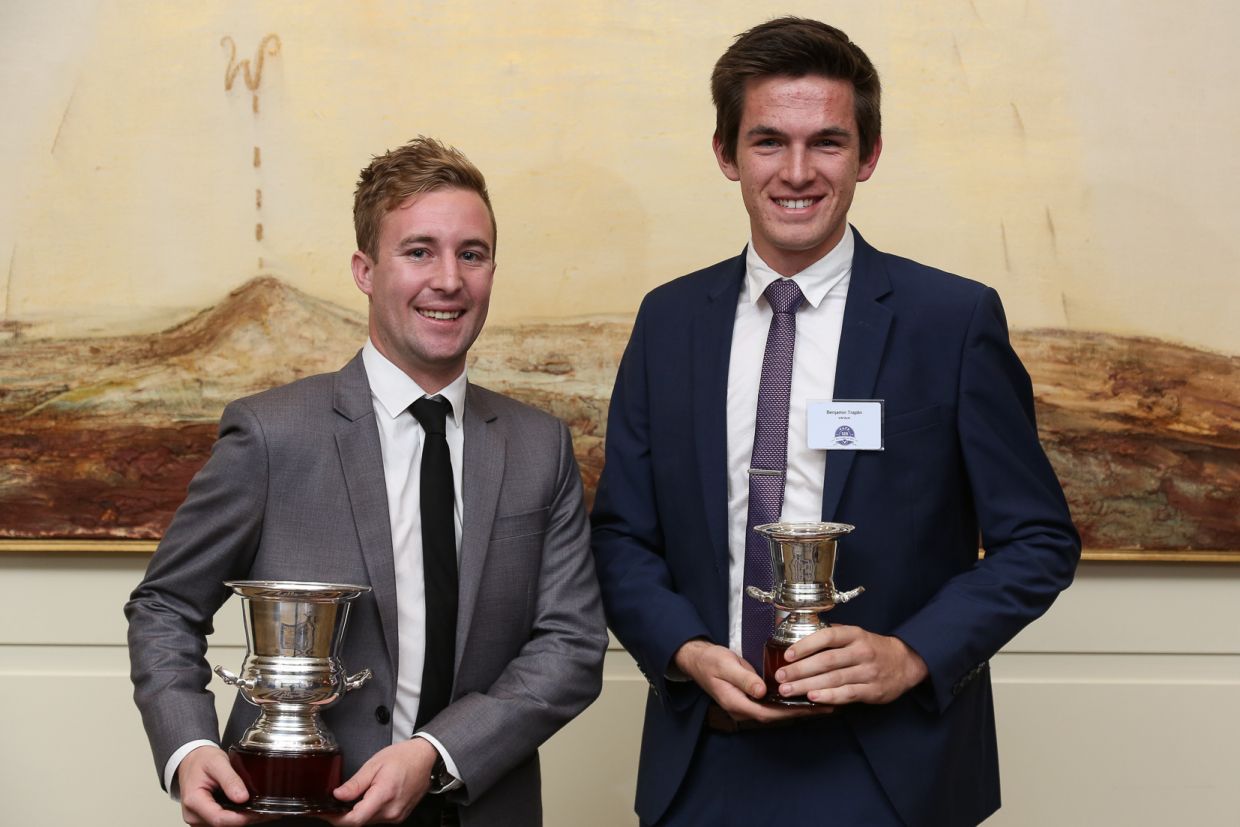 2017 VAFA Award Winners - VAFA