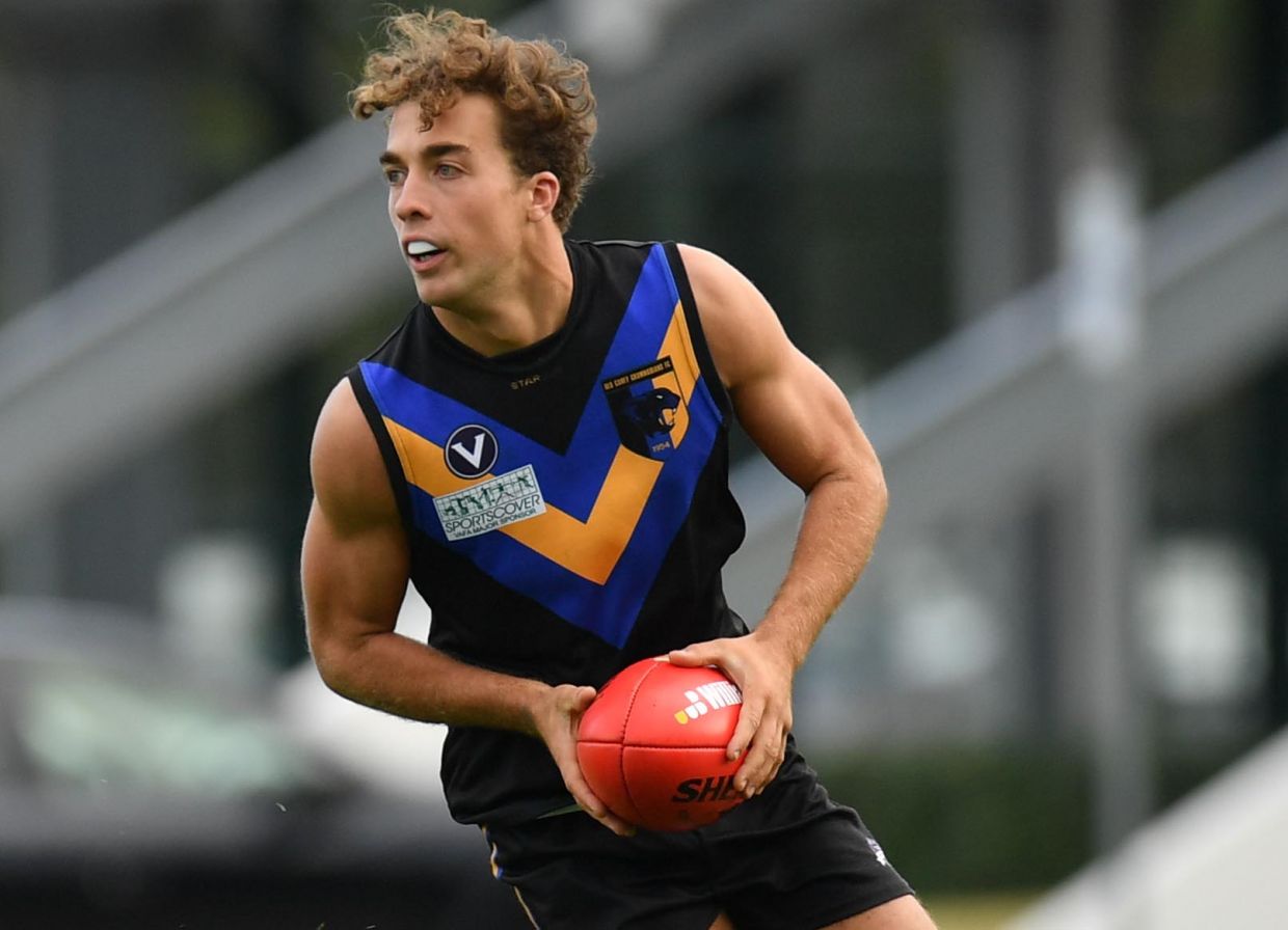 Panthers back in William Buck Premier - VAFA