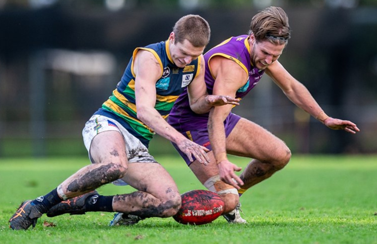 VAFA Round 4 Live Coverage - VAFA