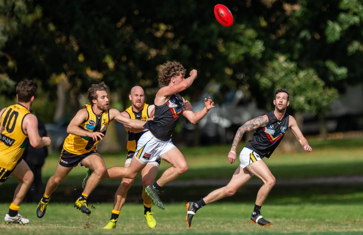 Round 15 Anytime Fitness Men's Rising Star: Joel Chilcott - VAFA