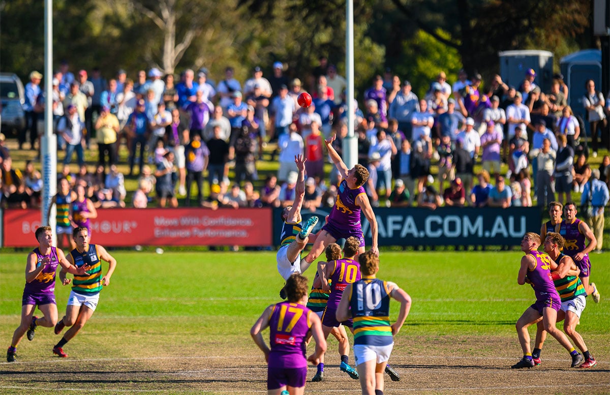 Cobras, Warriors and Animals fight for finals - VAFA