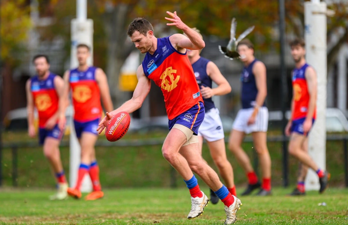 Fitzroy Football Club - VAFA
